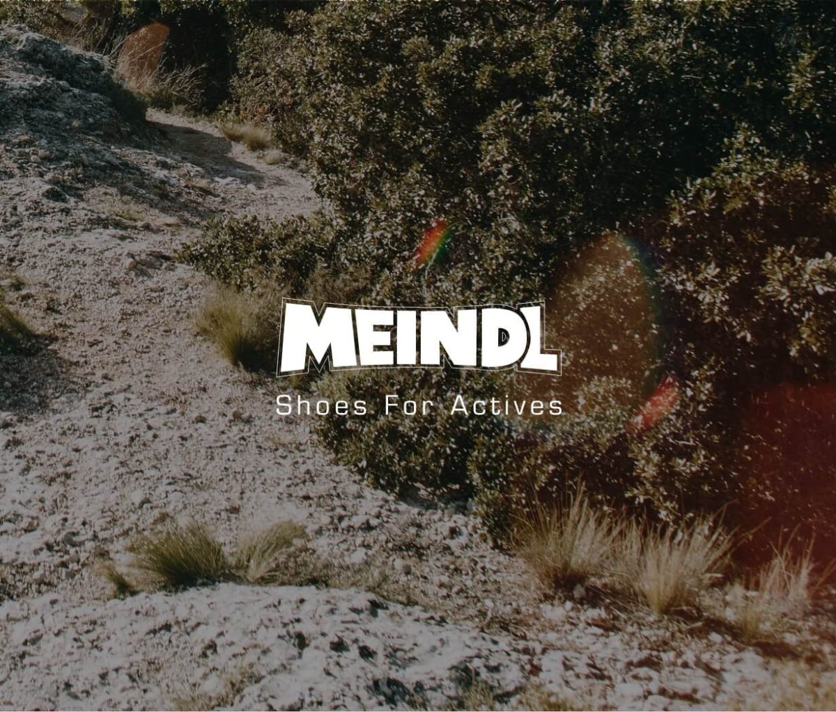 Buy Meindl Tonale GTX | Sport Gardena